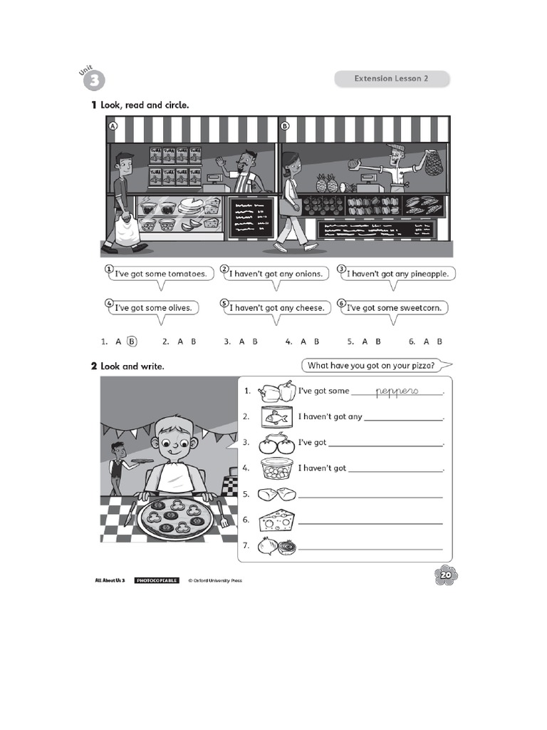 Unit 3 Extension Lesson 2 | PDF