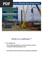 Cameron Wellhead Presentation | PDF | Casing (Borehole) | Valve