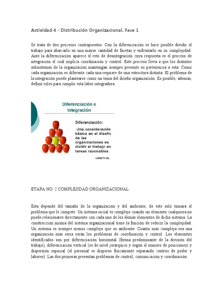 Actividad 4 - Distribución Organizacional. Fase 1 | PDF | Diseño | Toma ...