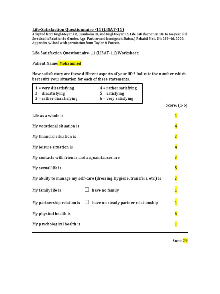 Life-Satisfaction Questionnaire-11 | PDF