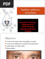 Visual Pathway | PDF | Visual System | Cerebral Cortex