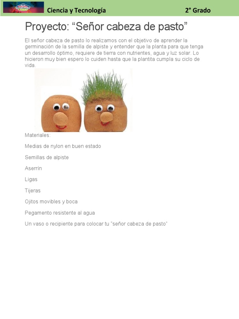 Instrucciones para hacer un Señor Cabeza de Pasto | PDF