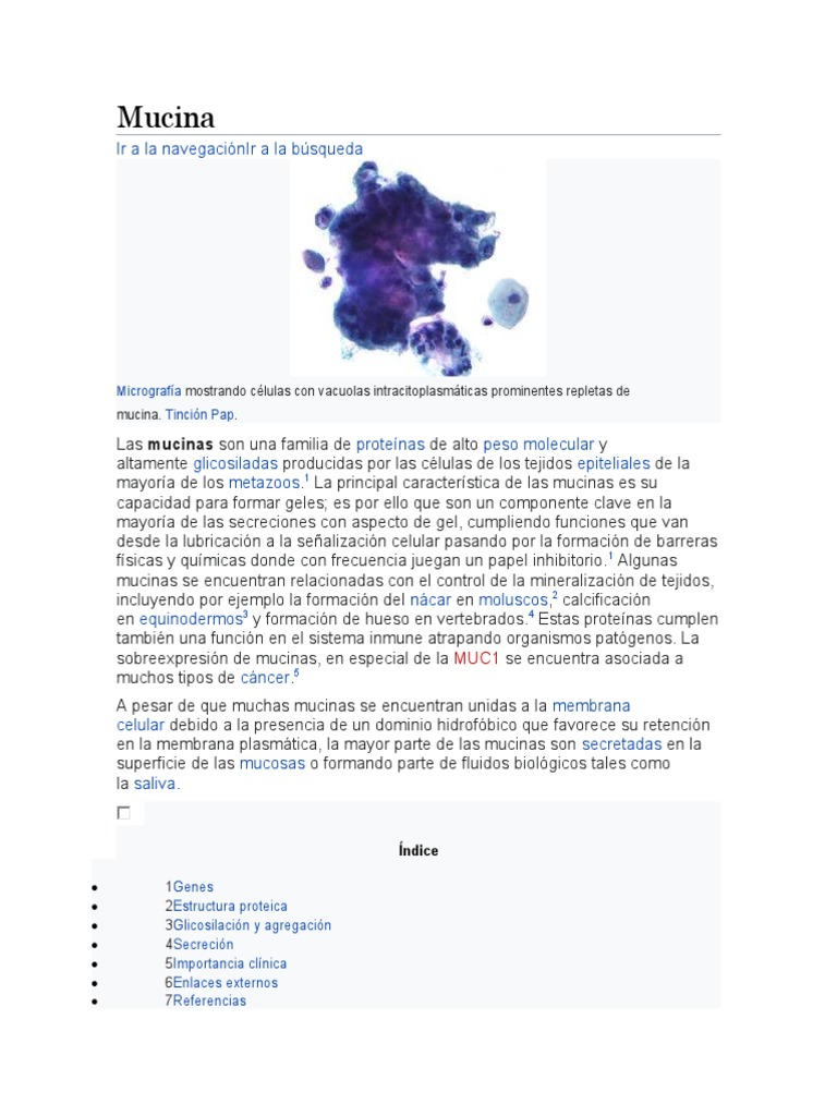 Mucina | PDF | Nutrientes | Biología Molecular