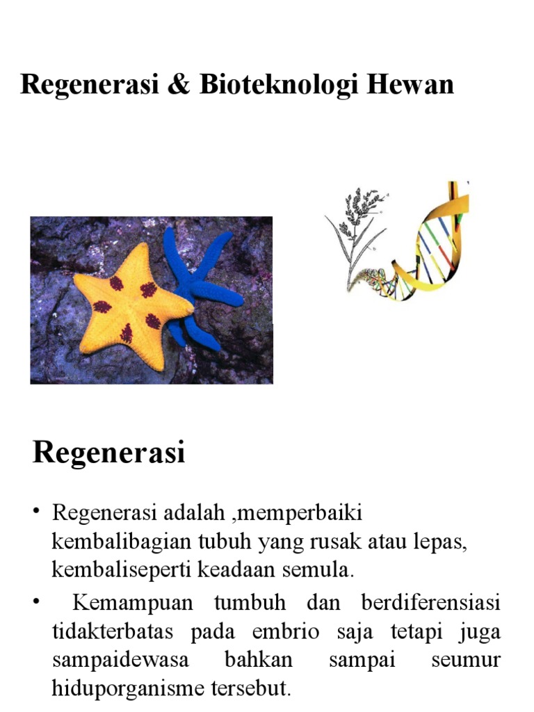 Regenerasi & Bioteknologi Hewan | PDF