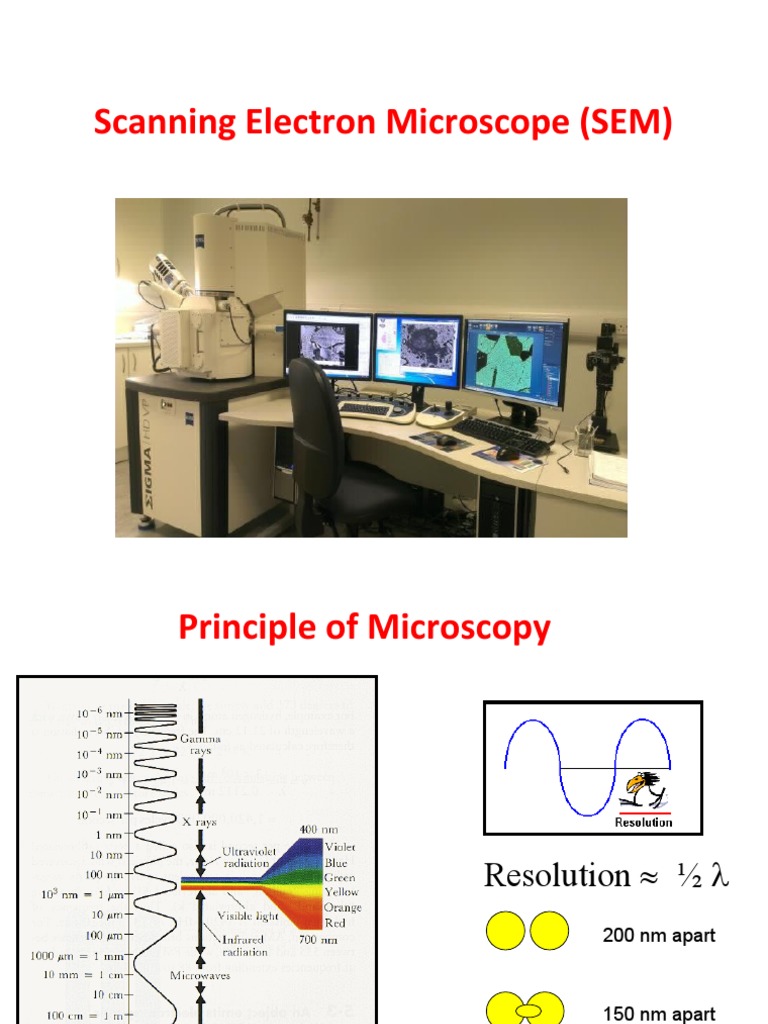 Scanning Electron Microscope (SEM) | PDF | Scanning Electron Microscope ...
