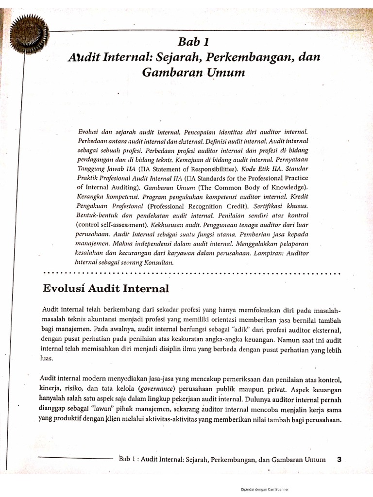 Bab 1 Internal Audit Sawyer | PDF