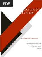 Estructura de Acero | PDF | Naturaleza