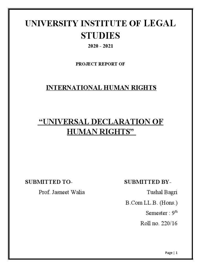 UDHR, International Human Rights | PDF | Human Rights | European ...