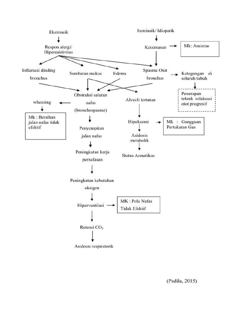 Woc Asma Bronkial | PDF