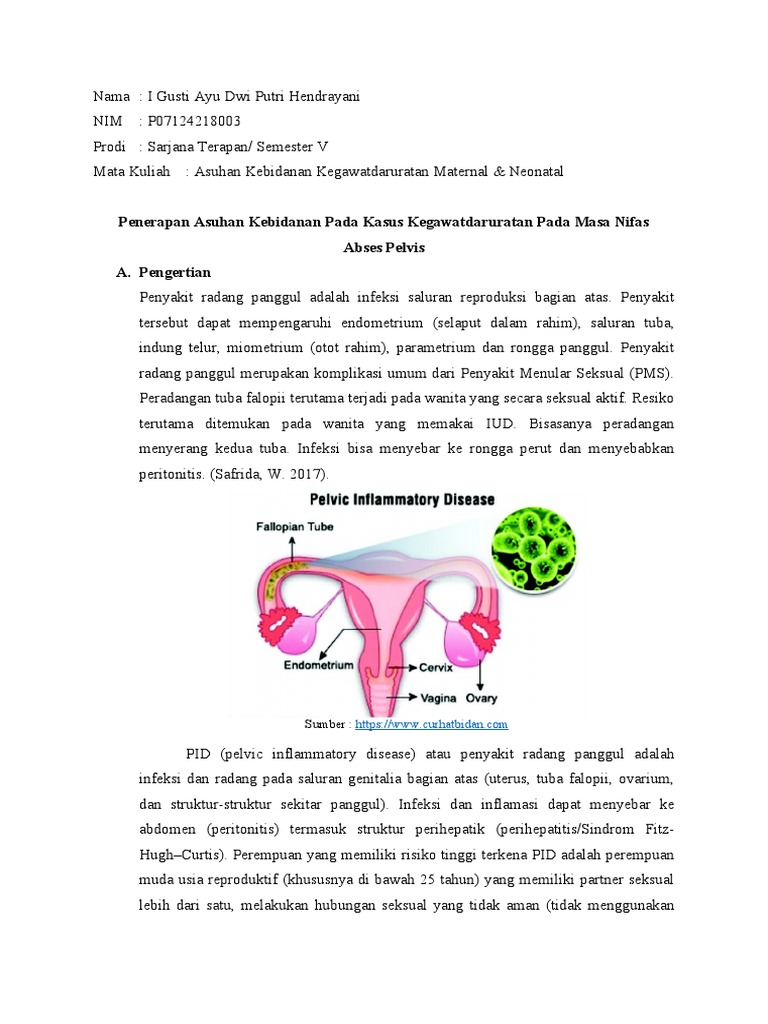 Abses Pelvic - 003 Dwi Putri | PDF