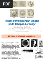 Paramphistomum Cervi: Morphology, Life Cycle, Prevalence, Molecular ...