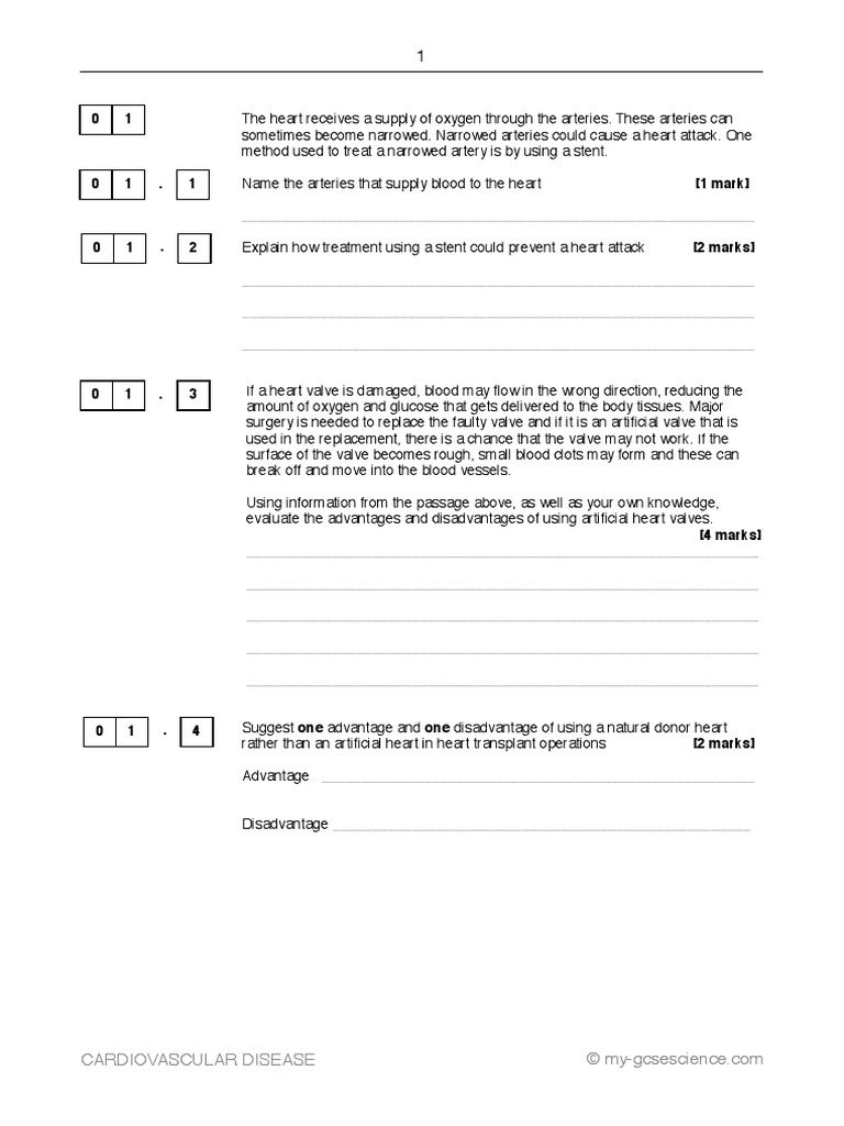 Cardiovascular Disease Questions | PDF | Artery | Heart
