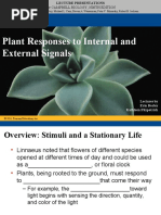 AP Lang Rhetorical Analysis Essay Template (With Examples) | PDF ...