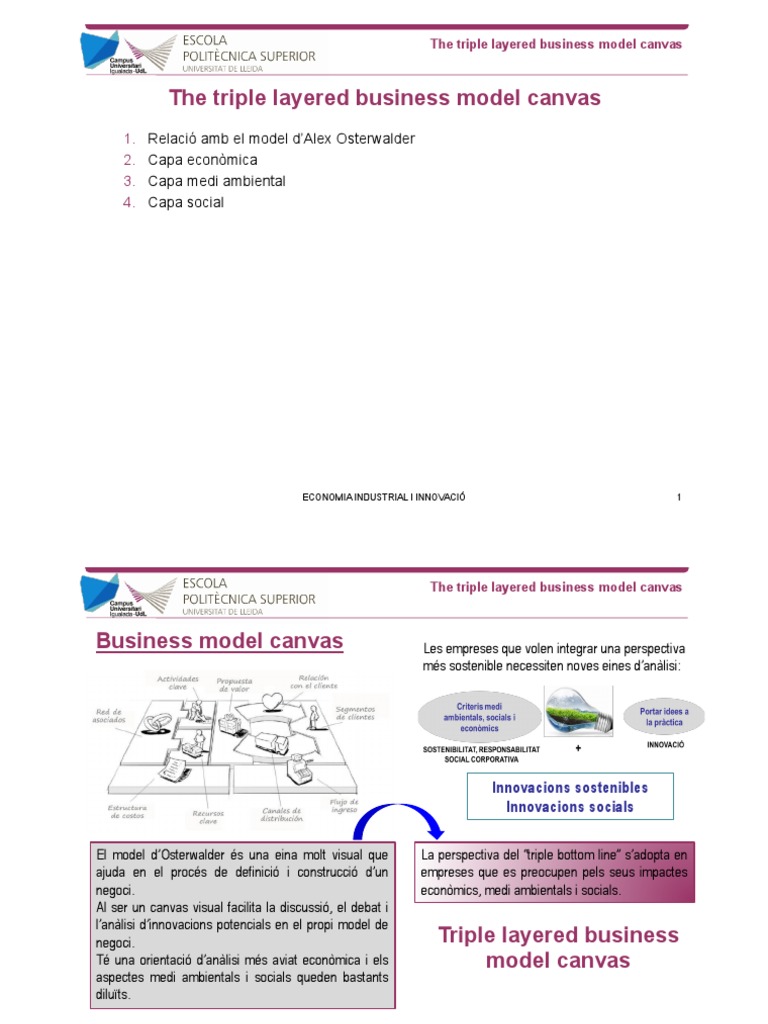 Triple Layered Business Model Canvas | PDF