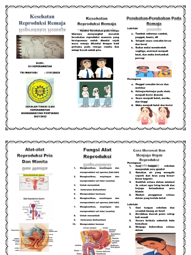 Leaflet Kesehatan Reproduksi Remaja (Tri.w) | PDF