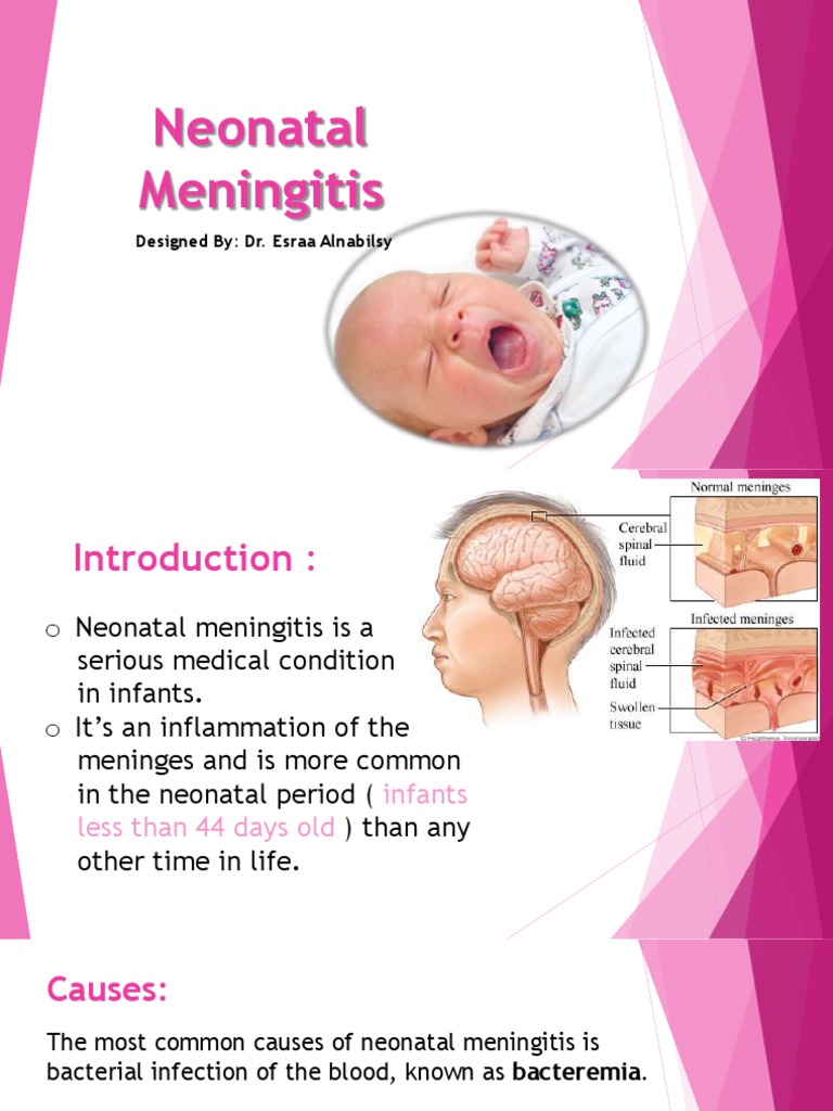 Neonatal Meningitis: Designed By: Dr. Esraa Alnabilsy | Download Free PDF | Meningitis ...