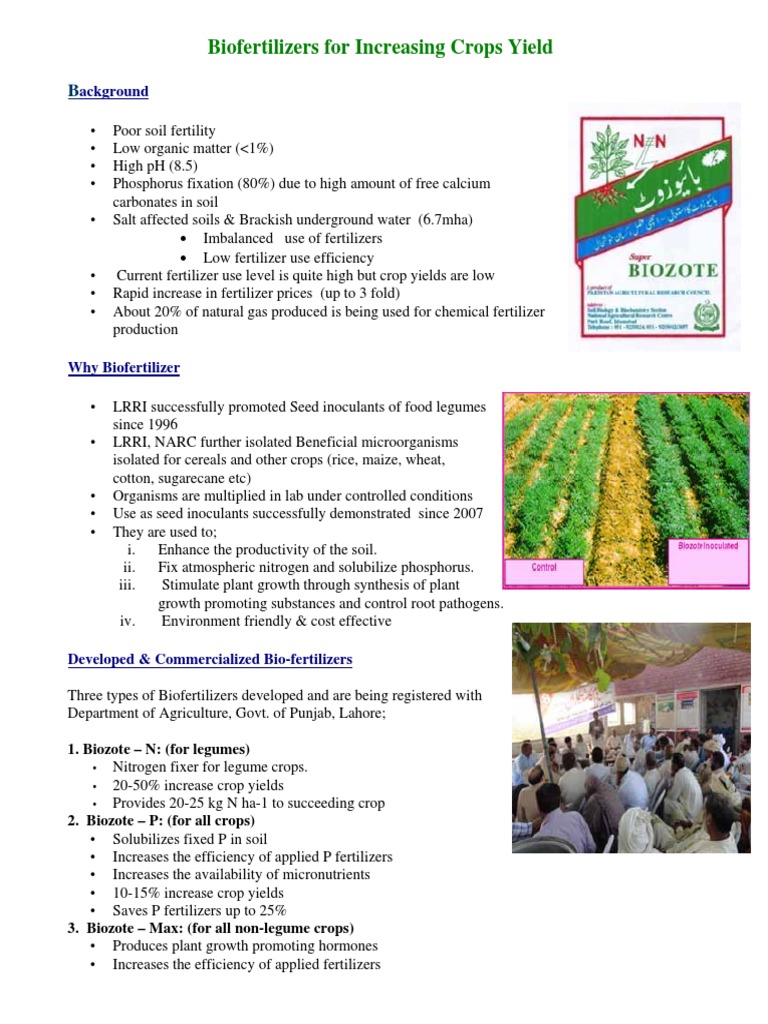 Biofertilizers For Increasing Crops Yield: Ackground | PDF | Fertilizer ...
