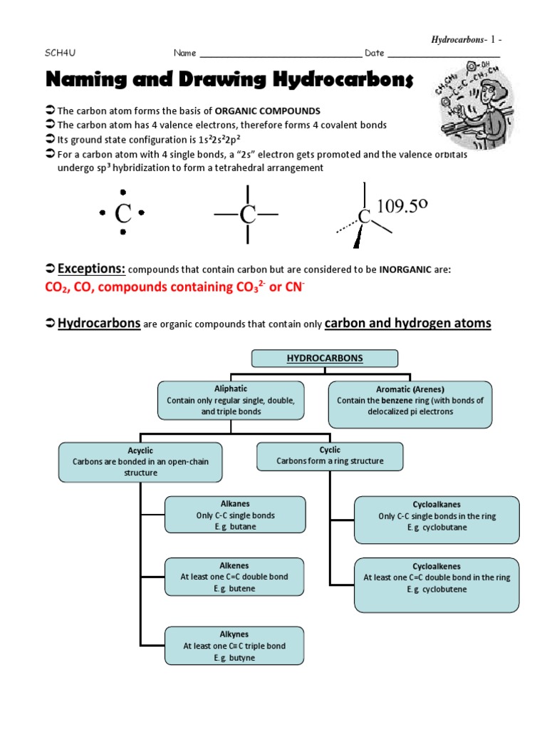 Naming and Drawing Hydrocarbons NOTES | PDF | Alkene | Alkane