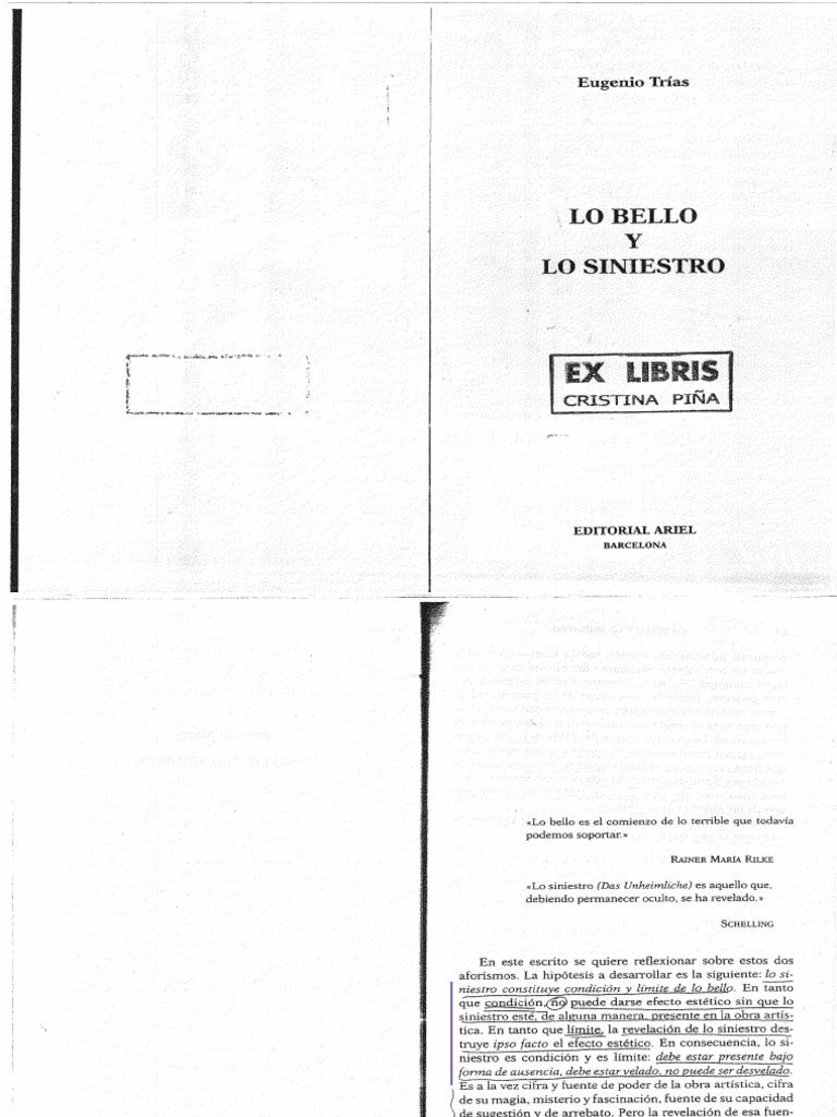 Lo Bello y Lo Siniestro | PDF