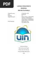 BIOKIMIA Identifikasi Karbohidrat Uji IOdine | PDF