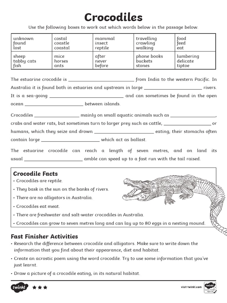 Fun Crocodiles Activity | PDF | Crocodile | Estuary