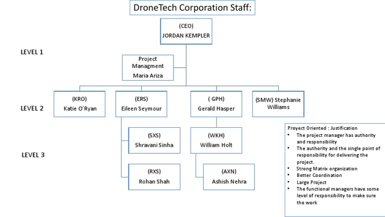 DroneTech Corporation Organizational Chart | PDF