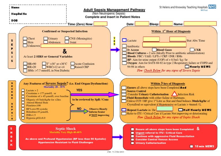 Adult Sepsis Management Pathway: A Step-by-Step Guide for Confirming or ...