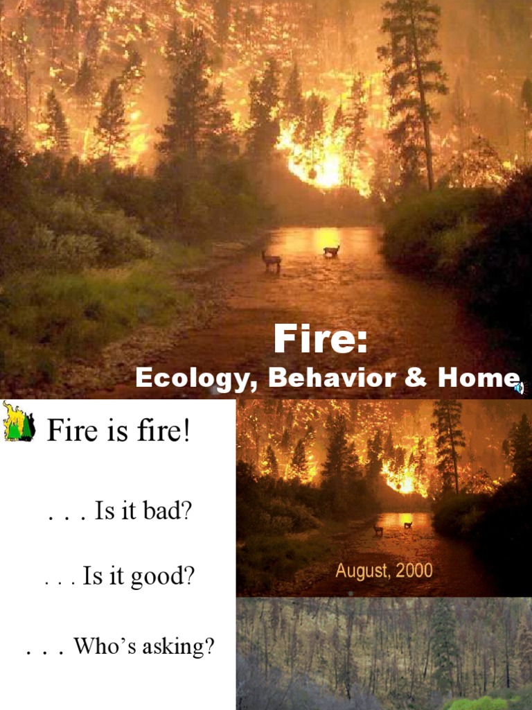 Ecology, Behavior & Home: Fire | PDF | Wildfire | Fires