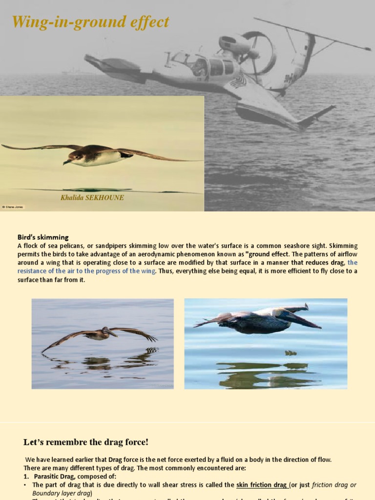 Wing in Ground Effect | PDF