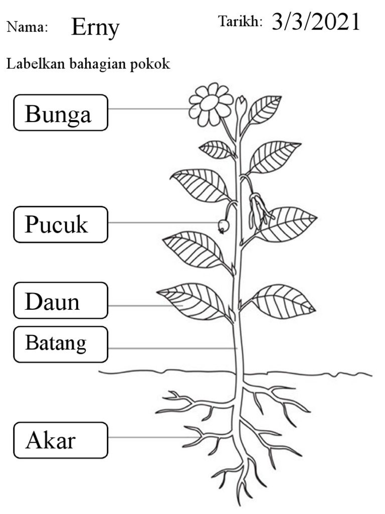 Labelkan Bahagian Pokok | PDF