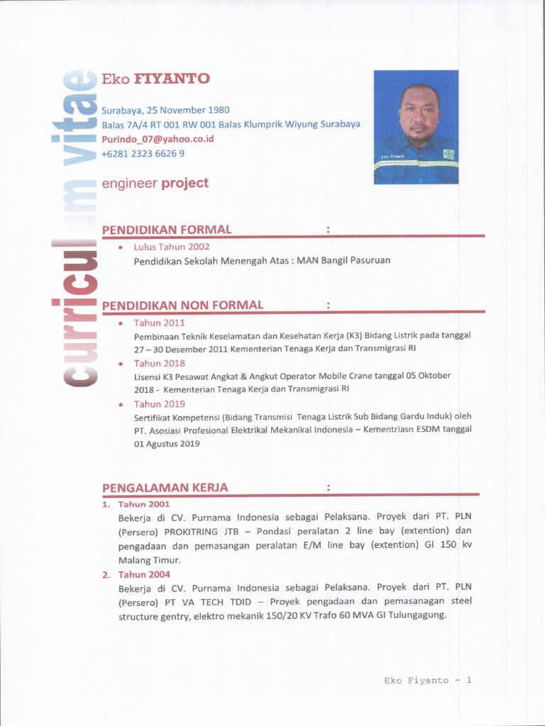 CV Enginer Project001 | PDF
