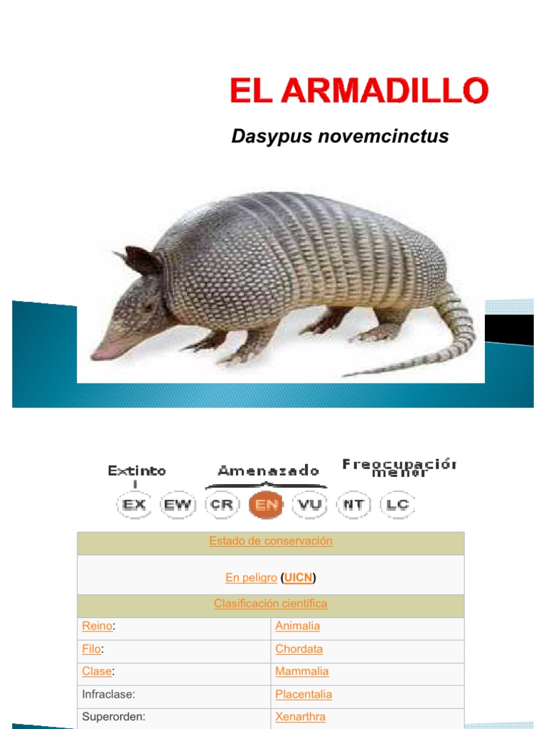 El Armadillo | PDF