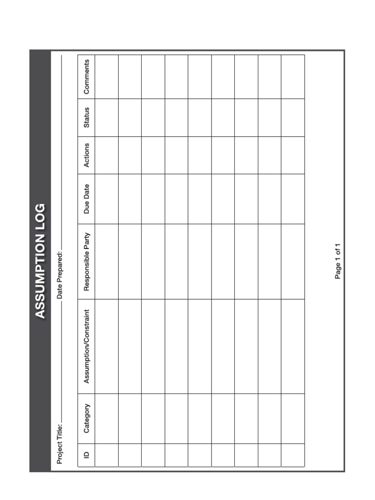 Assumption Log | PDF
