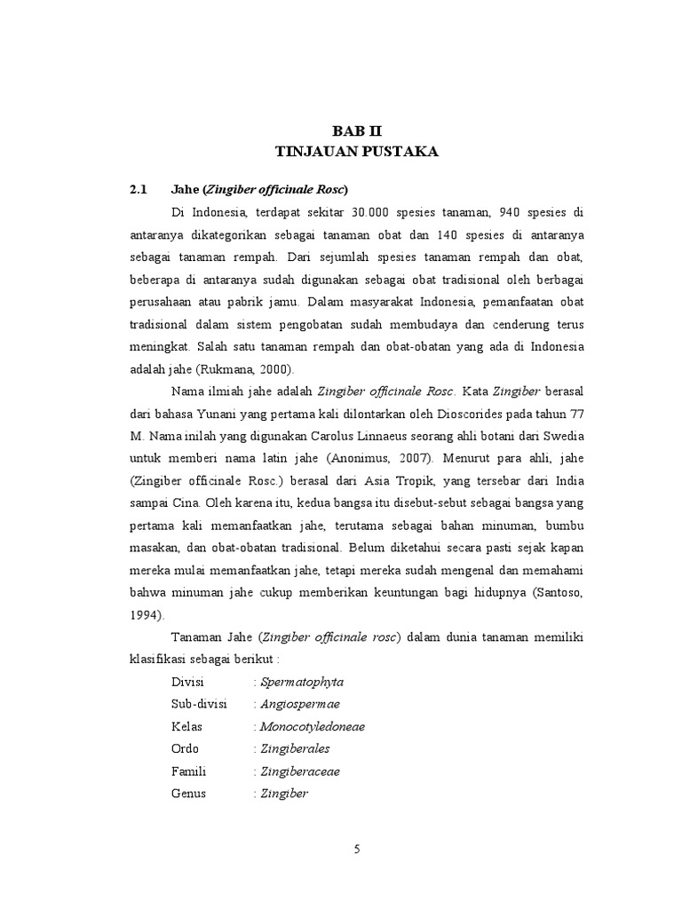 Bab Ii Fix | PDF | Kesehatan Holistik