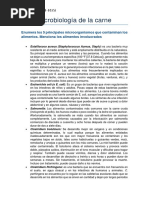 Siglas CHATTO | PDF | Las bacterias | Alimentos