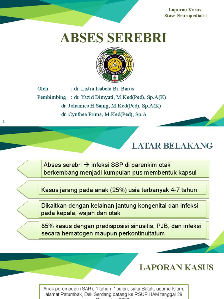 Abses Serebri | PDF