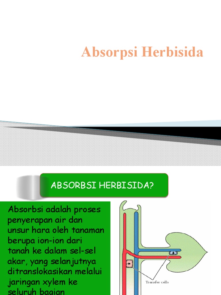 Absorbsi Herbisida | PDF