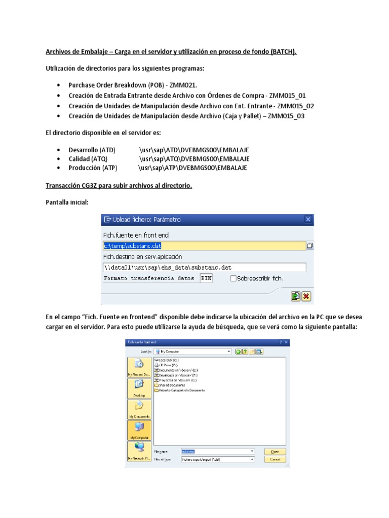 Manual de CG3Z - AL11 | PDF | Archivo de computadora | Datos de computadora