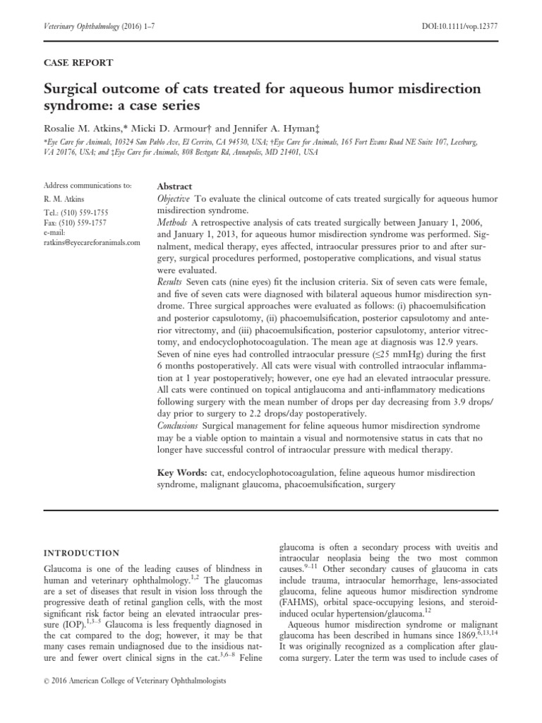 Surgical Outcome of Cats Treated For Aqueous Humor Misdirection ...