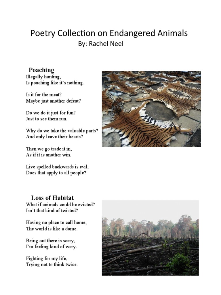 Poetry Collection On Endangered Animals | PDF | Poetry