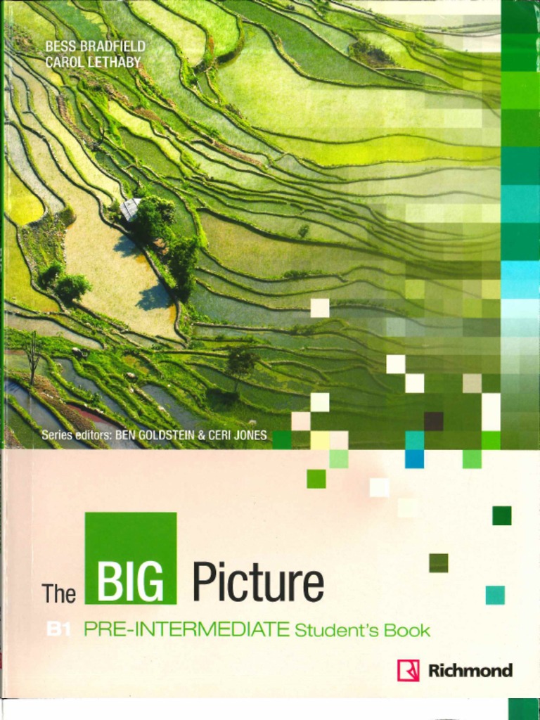 The Big Picture B1 Student Book | PDF