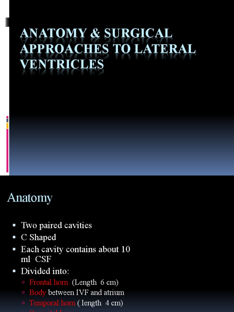 Anatomy and Surgical Approaches To Lateral Ventricles | PDF | Brain ...