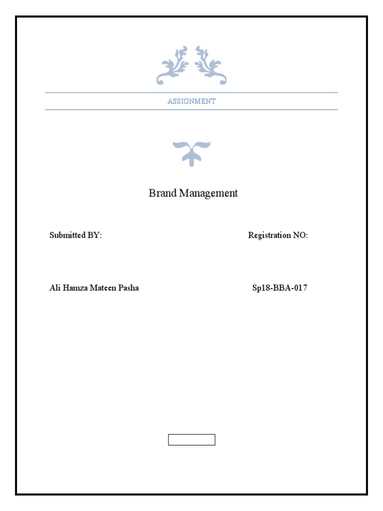 Brand Management Assignment | PDF | Brand | Target Audience