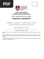 Carissa Estrada Activity No. 9 Enzymes | PDF | Catalase | Enzyme