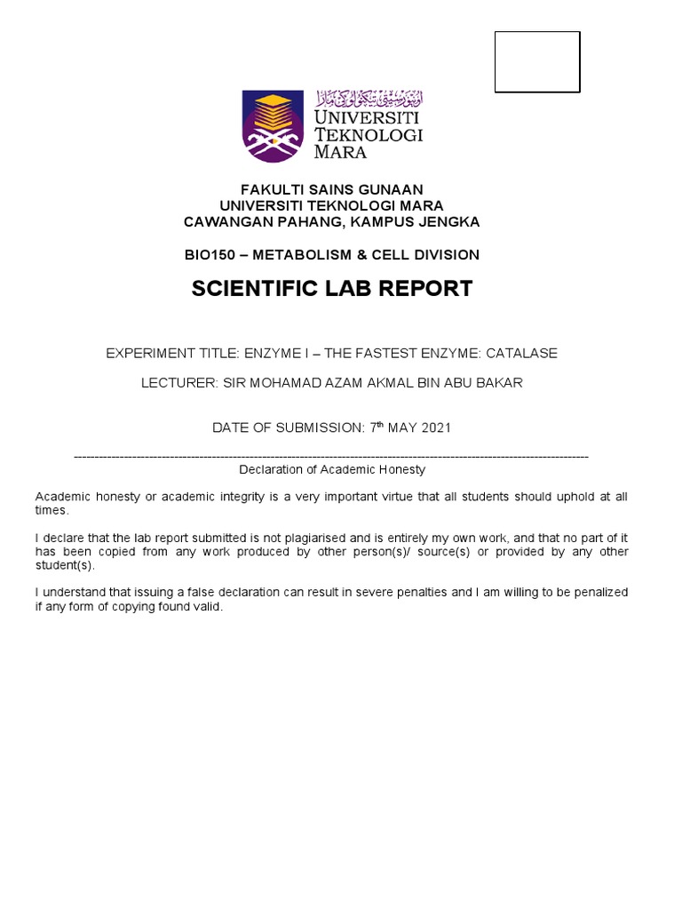 Lab Report Bio | Download Free PDF | Catalase | Enzyme