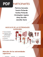 A34 Compartimentos Musculares Del Brazo y Antebrazo DR Daniel Lopez ...