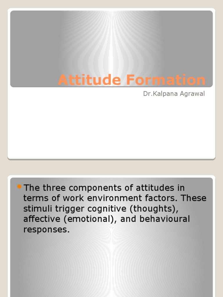 Understanding the Formation and Sources of Attitudes: A Review of ...