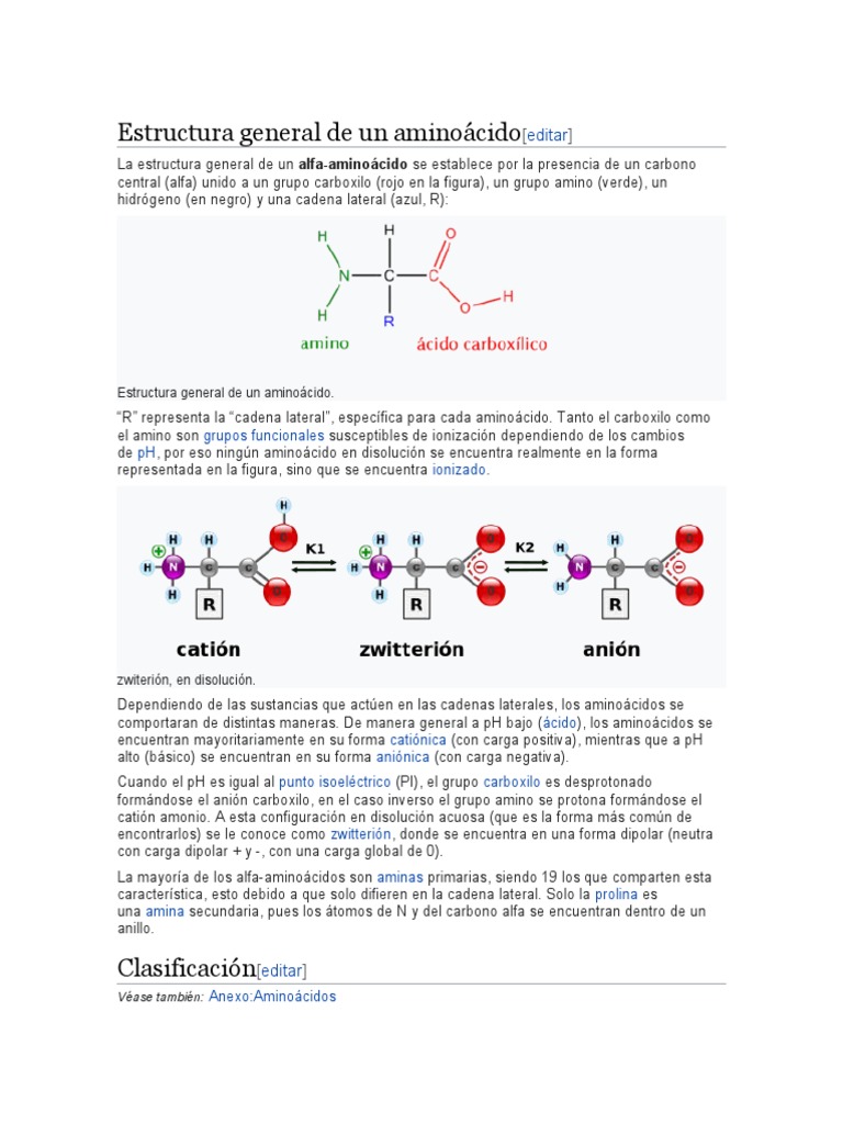 Estructura General de Un Aminoácido | PDF | Aminoácidos | Ciencias fisicas
