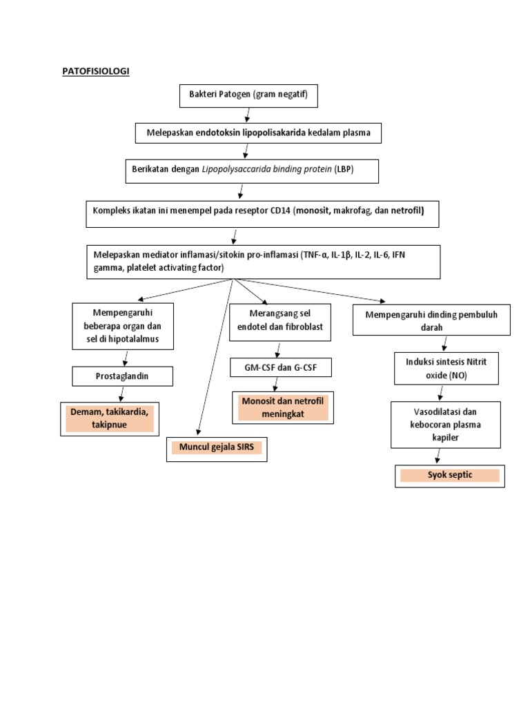 Patofisiologi Sepsis | PDF