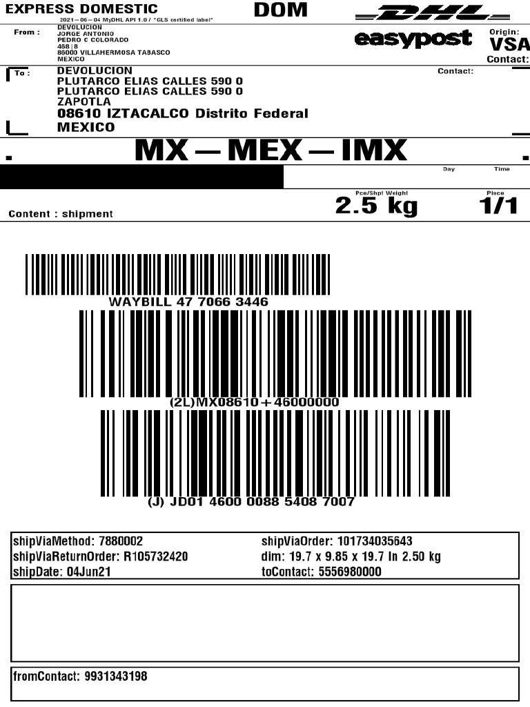 Guia DHL | PDF